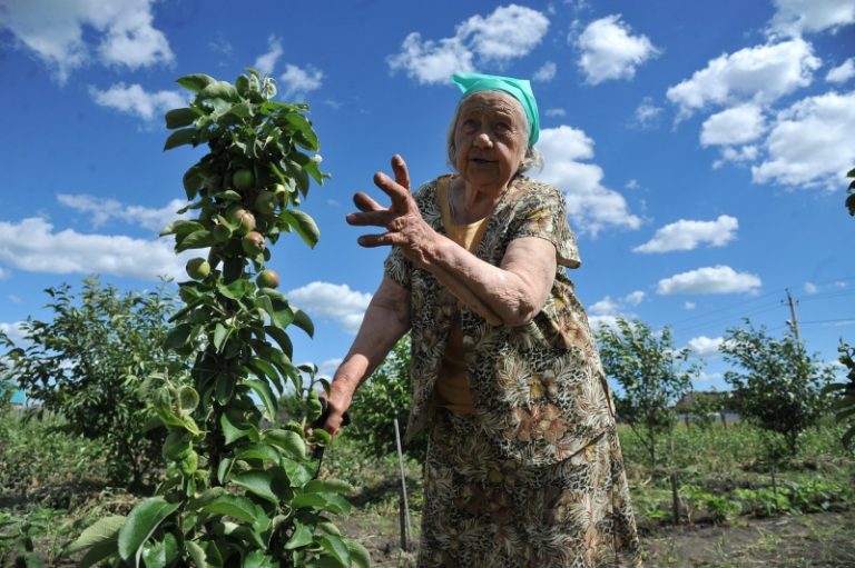 Labdara neatsiejama nuo orumo! Madinga mergina paklausė senelės, kiek ...