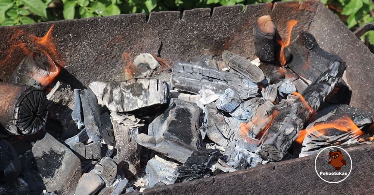 Medžio pelenai: 10 paslapčių, kurių niekas nežino – Pukuotukas.com